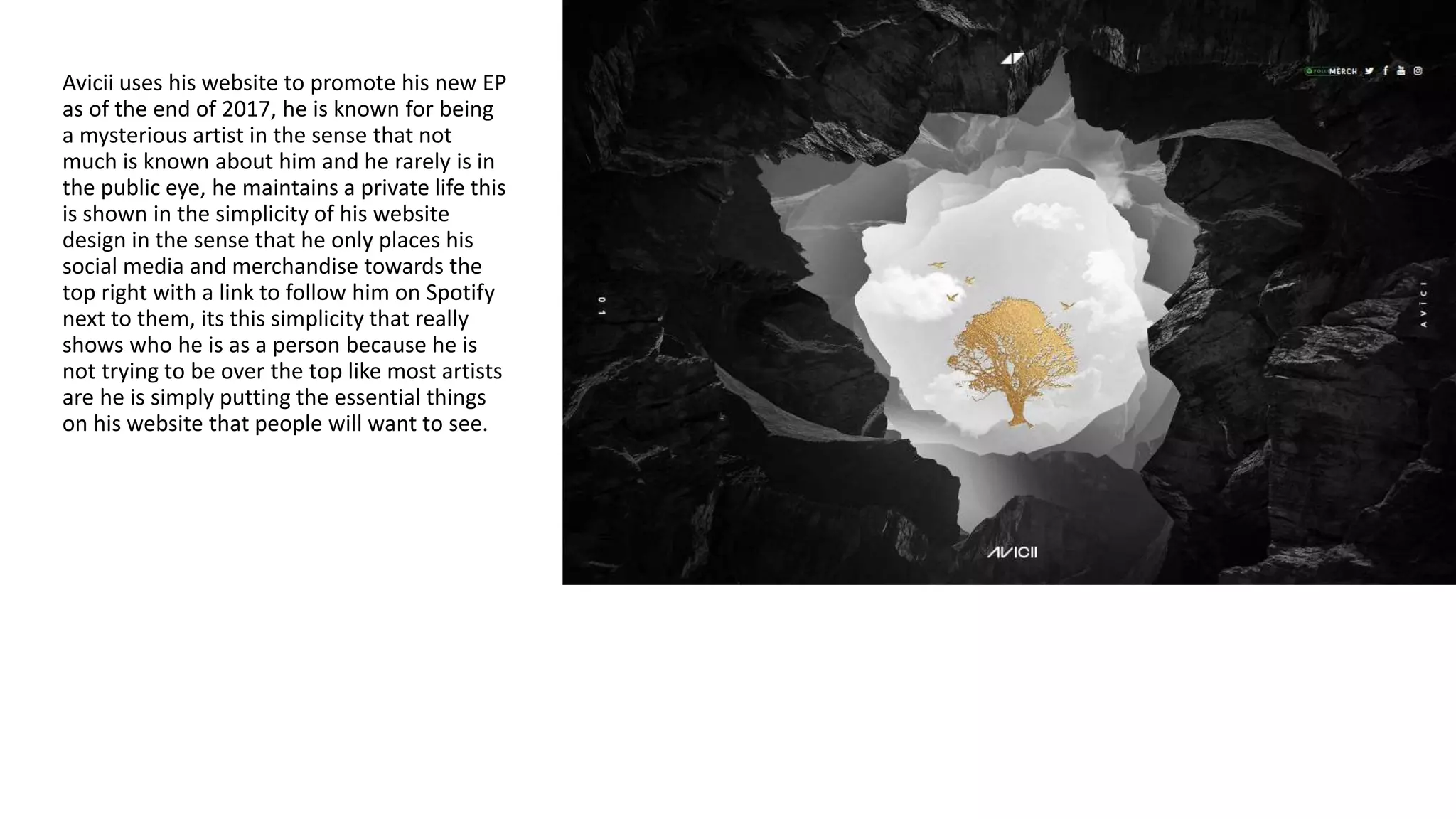 Avicii website | PPT