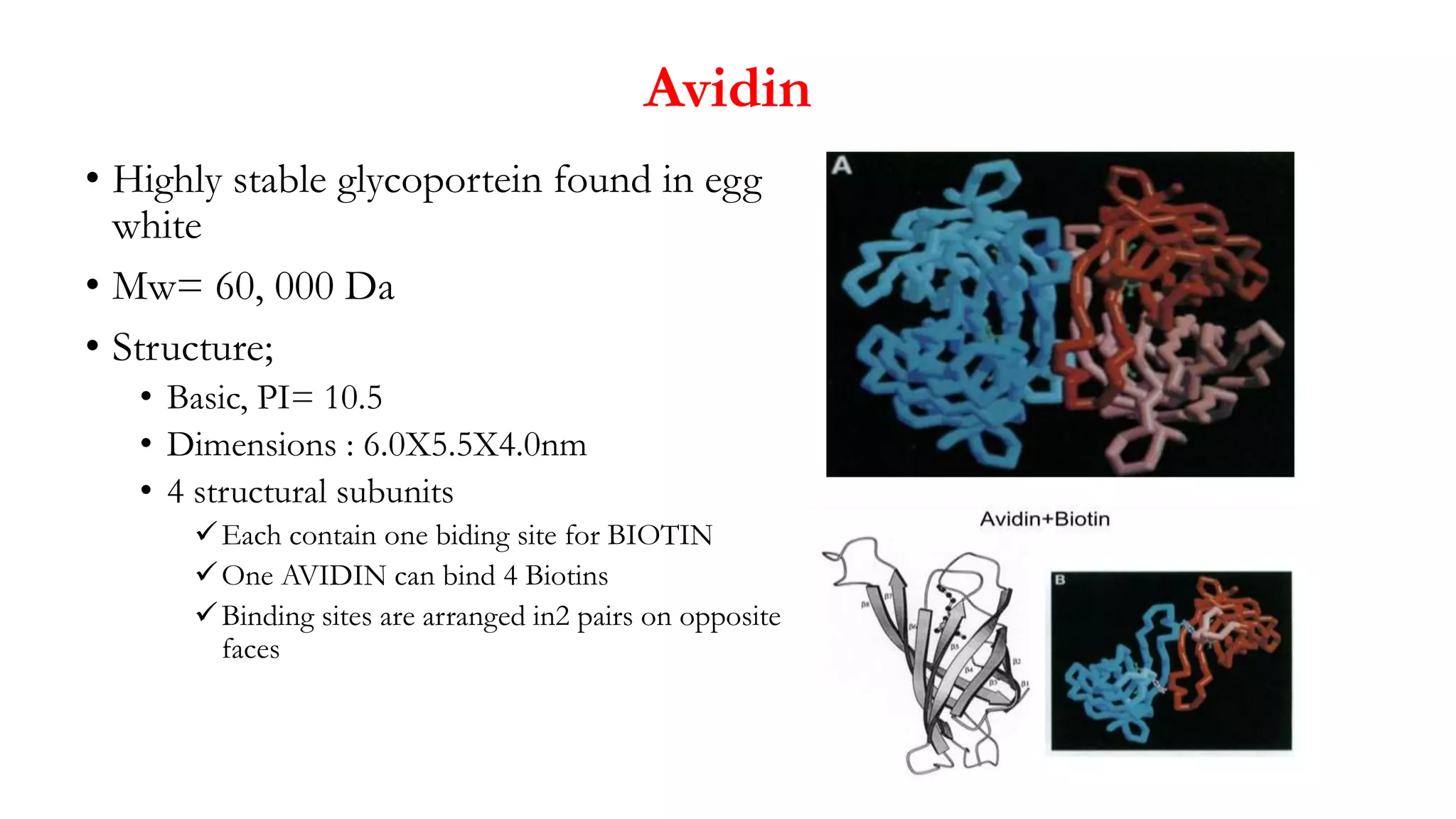 Avidin biotin interaction | PPTX