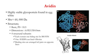 Avidin biotin interaction | PPTX