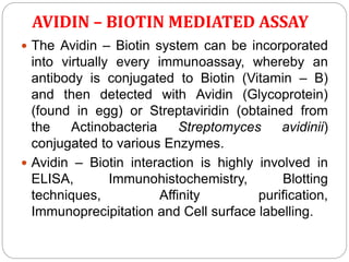 Avidin - Biotin Mediated Assay | PPT