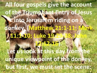 A View From A Donkey | PPTX