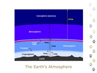 A View Of Earth | PDF
