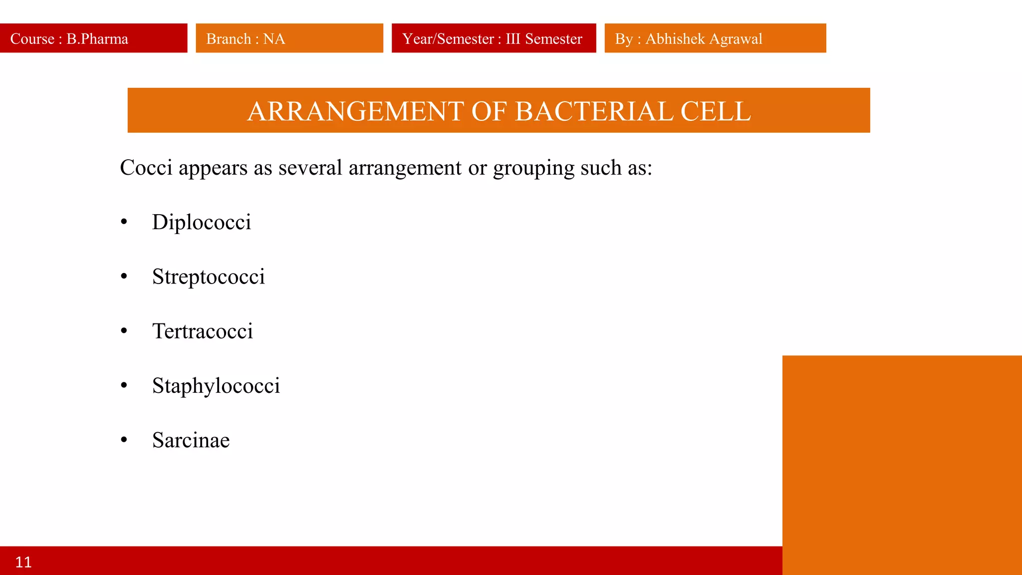 Morphology of bacteria | PPTX