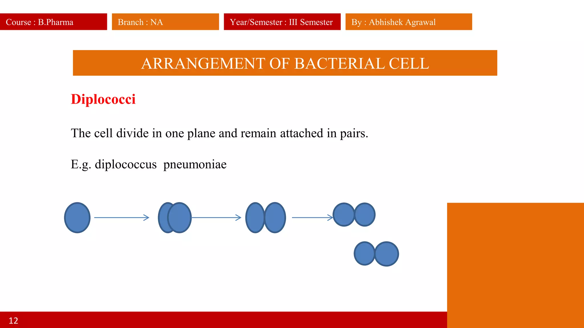 Morphology of bacteria | PPTX