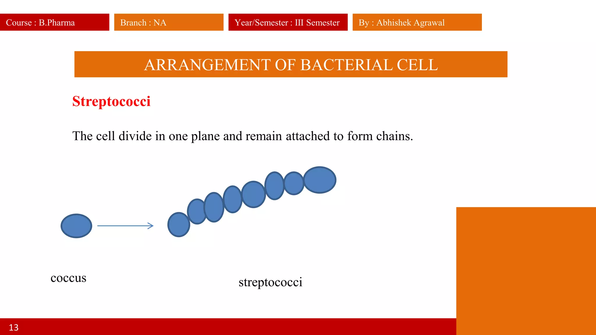 Morphology of bacteria | PPTX
