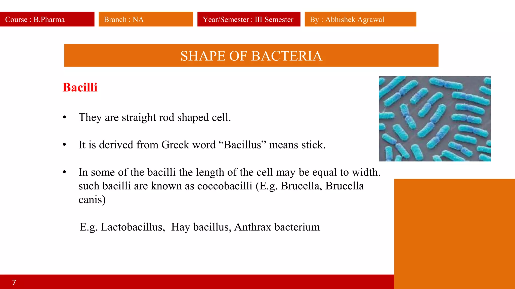 Morphology of bacteria | PPTX