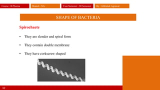 Morphology of bacteria | PPTX