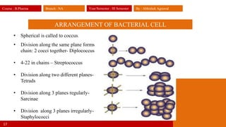 Morphology of bacteria | PPTX