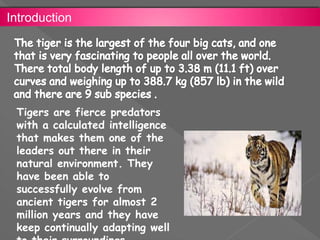 the tiger | PPTX