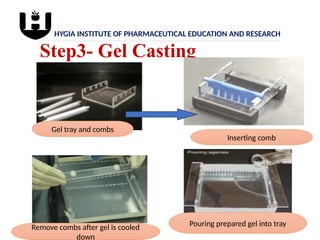 Gel electrophoresis | PPTX