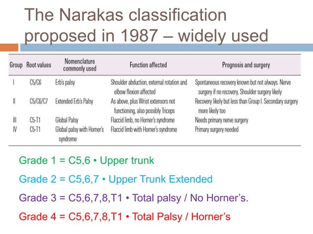 Birth Brachial Plexus Palsy. & Split Weld Technique for Nerve Repair | PPT