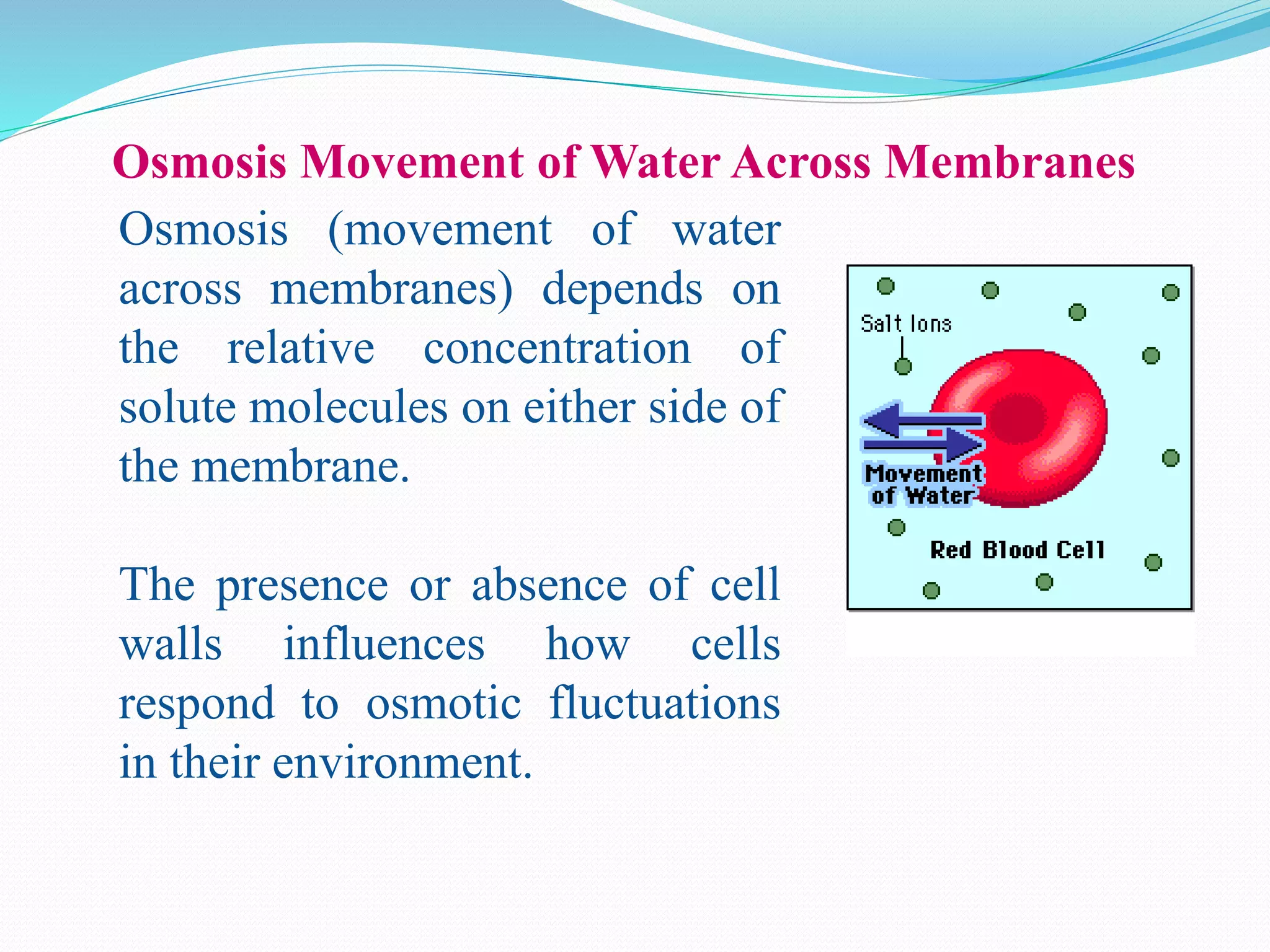 Biomembranes of cell | PPTX