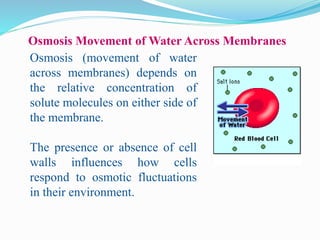 Biomembranes of cell | PPTX