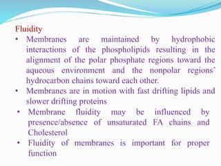 Biomembranes of cell | PPTX
