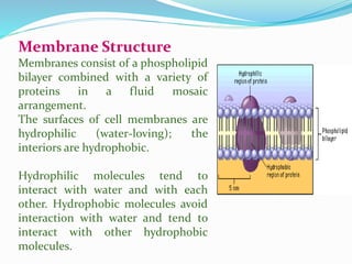 Biomembranes of cell | PPTX