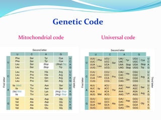 Mitochondrial genome and its manipulation | PPTX