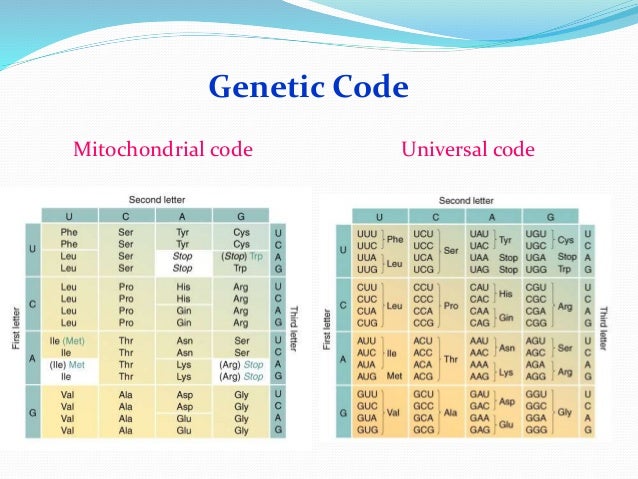Mitochondrial genome and its manipulation