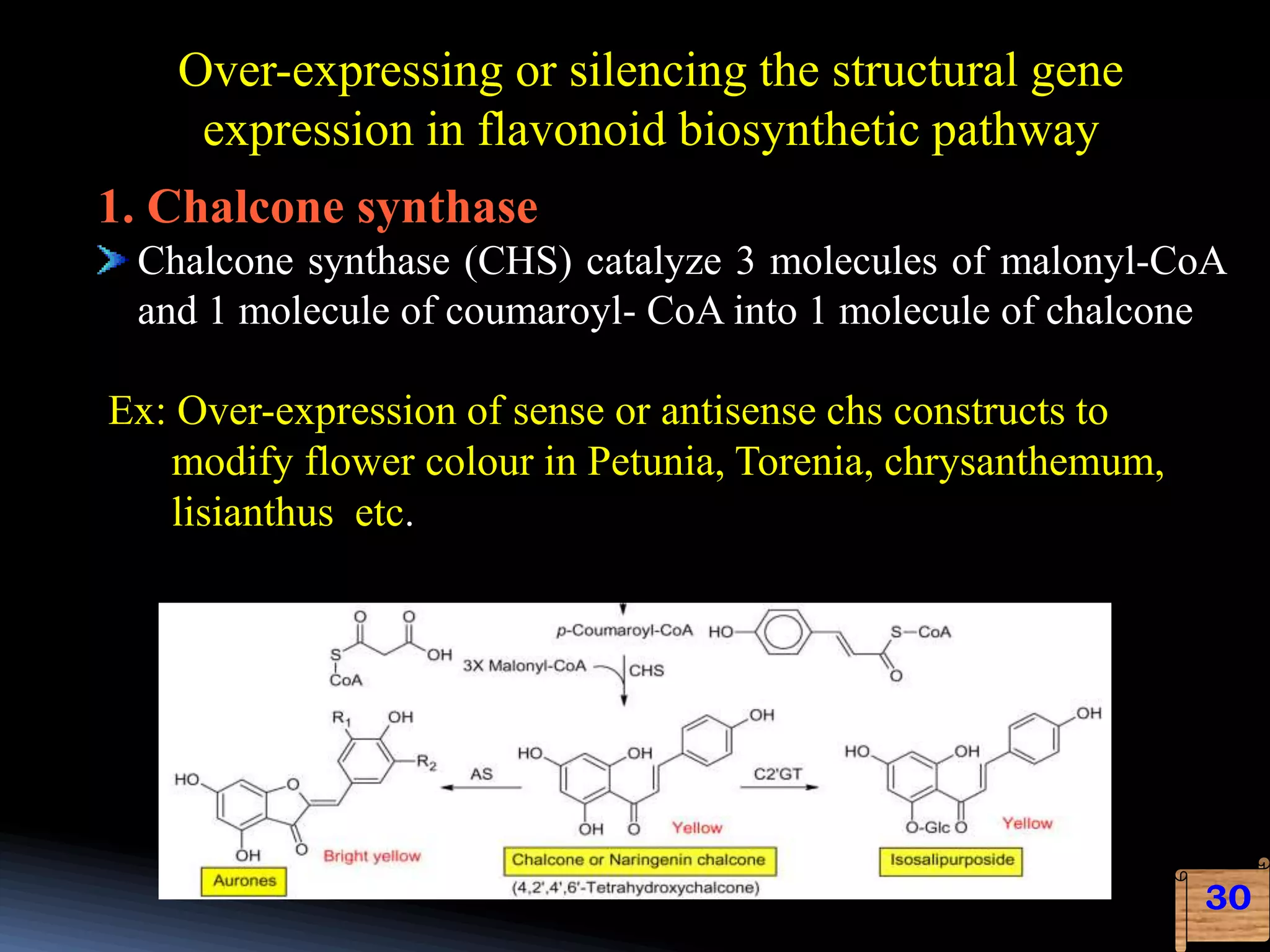 Genetic engineering for flower colour modification | PPTX