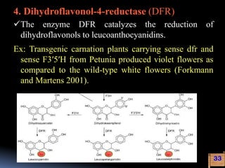 Genetic engineering for flower colour modification | PPTX
