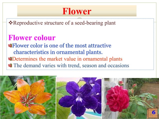 Genetic engineering for flower colour modification | PPTX | Biotech and ...