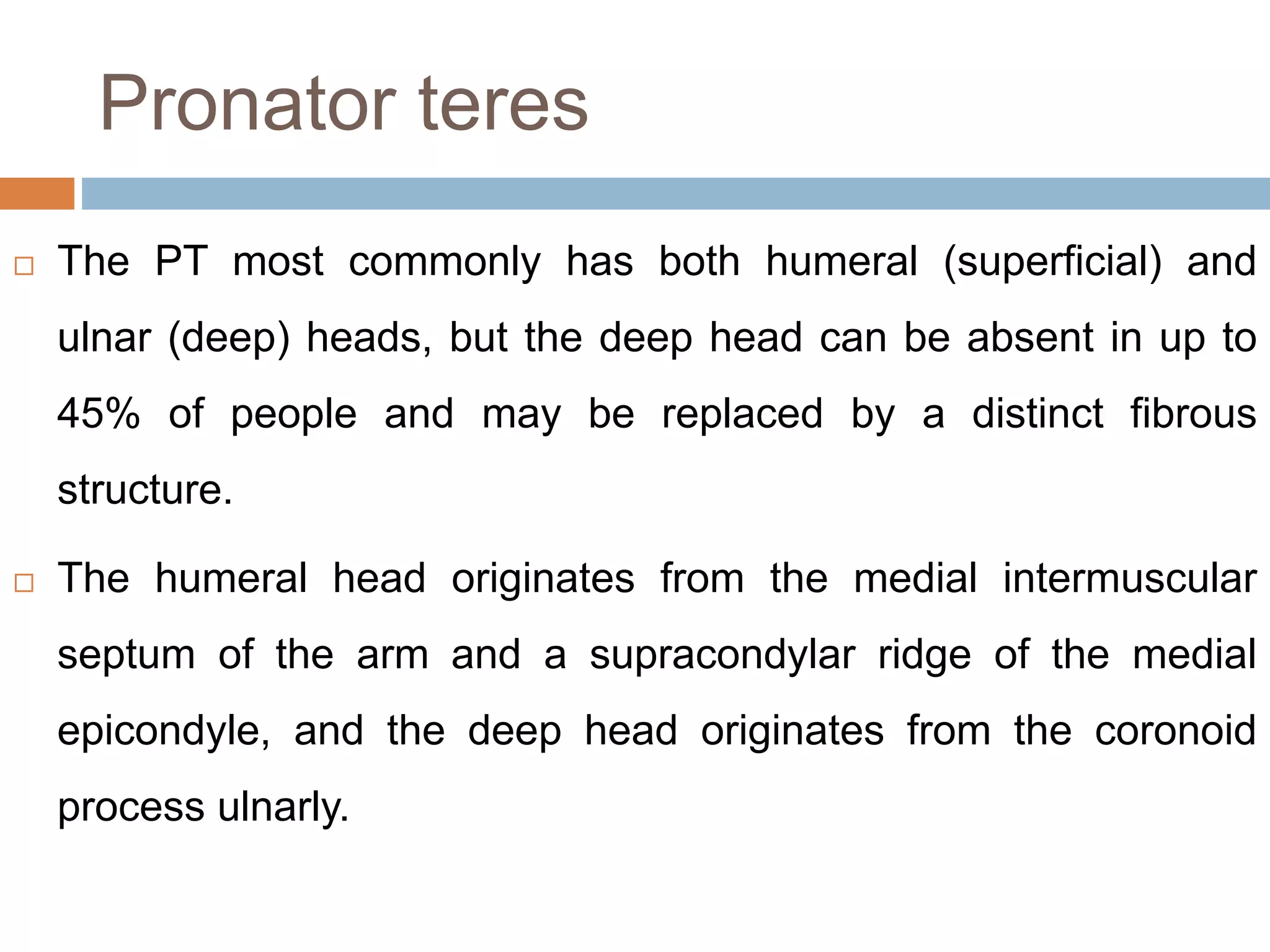 pronator syndrome | PPT