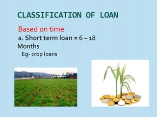 Farms loans and its procedural steps | PPTX