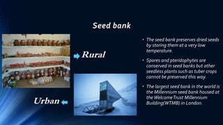 Gene bank and plant conservation | PPTX