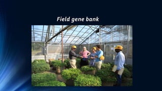 Gene bank and plant conservation | PPTX