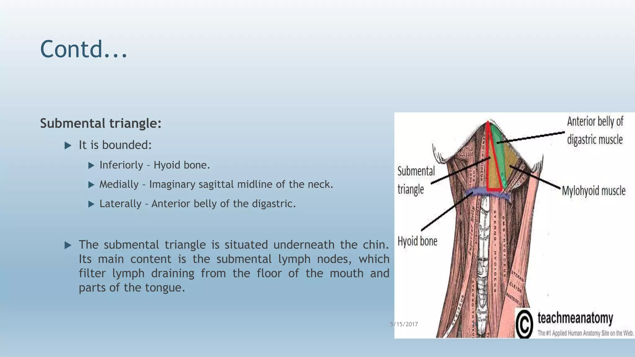 CT procedure of neck, Avinesh Shrestha | PPTX