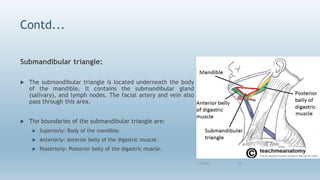 CT procedure of neck, Avinesh Shrestha | PPTX