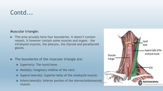 CT procedure of neck, Avinesh Shrestha | PPTX