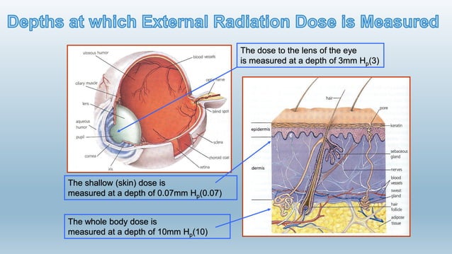 Radiation Dose Units and Dose Limits- Avinesh Shrestha | PDF | Cancer ...