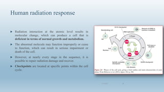 Fundamentals of radiobiology- Avinesh Shrestha | PPTX