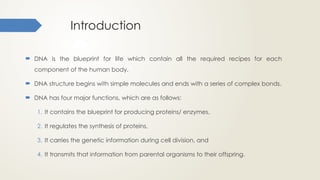 DNA Structure, Damage and Repair Mechanism- Avinesh Shrestha | PPTX
