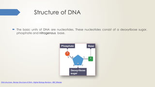 DNA Structure, Damage and Repair Mechanism- Avinesh Shrestha | PPTX