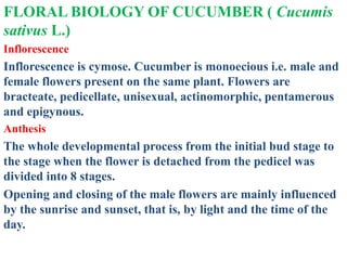 Floral biology of important cucurbits | PPTX