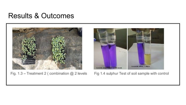 BIORECLMATION RECLAMATION OF ALKINE AND.SALINE SOIL | PPT
