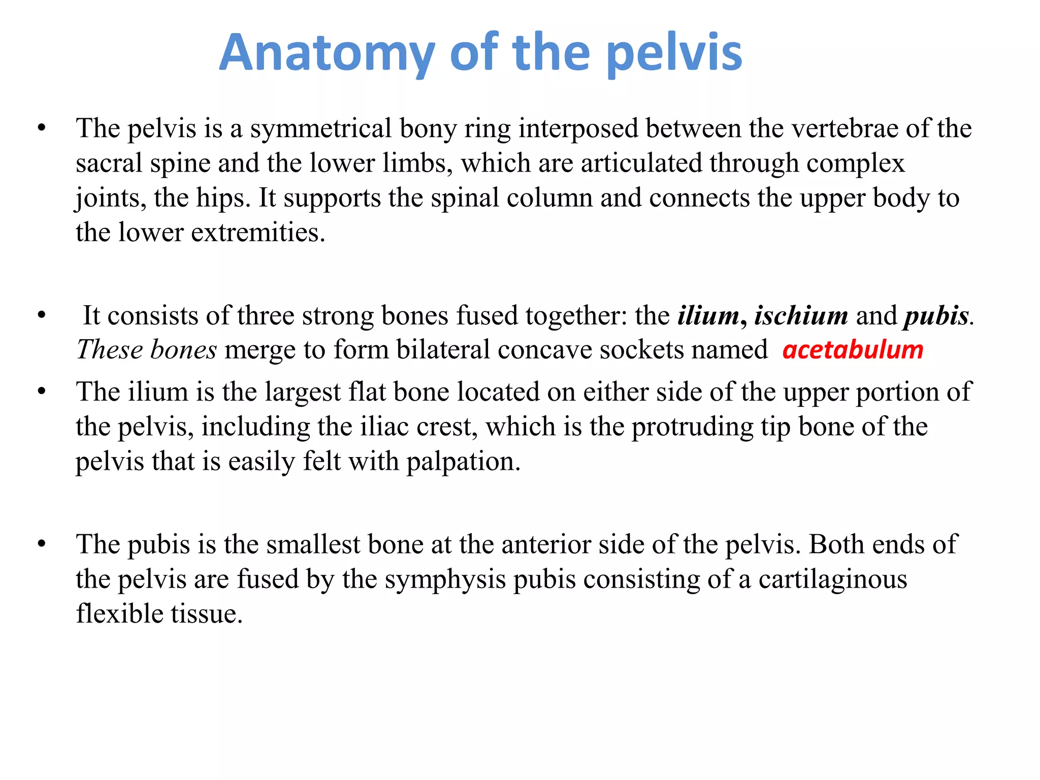 anatomy of pelvic hip | PPTX