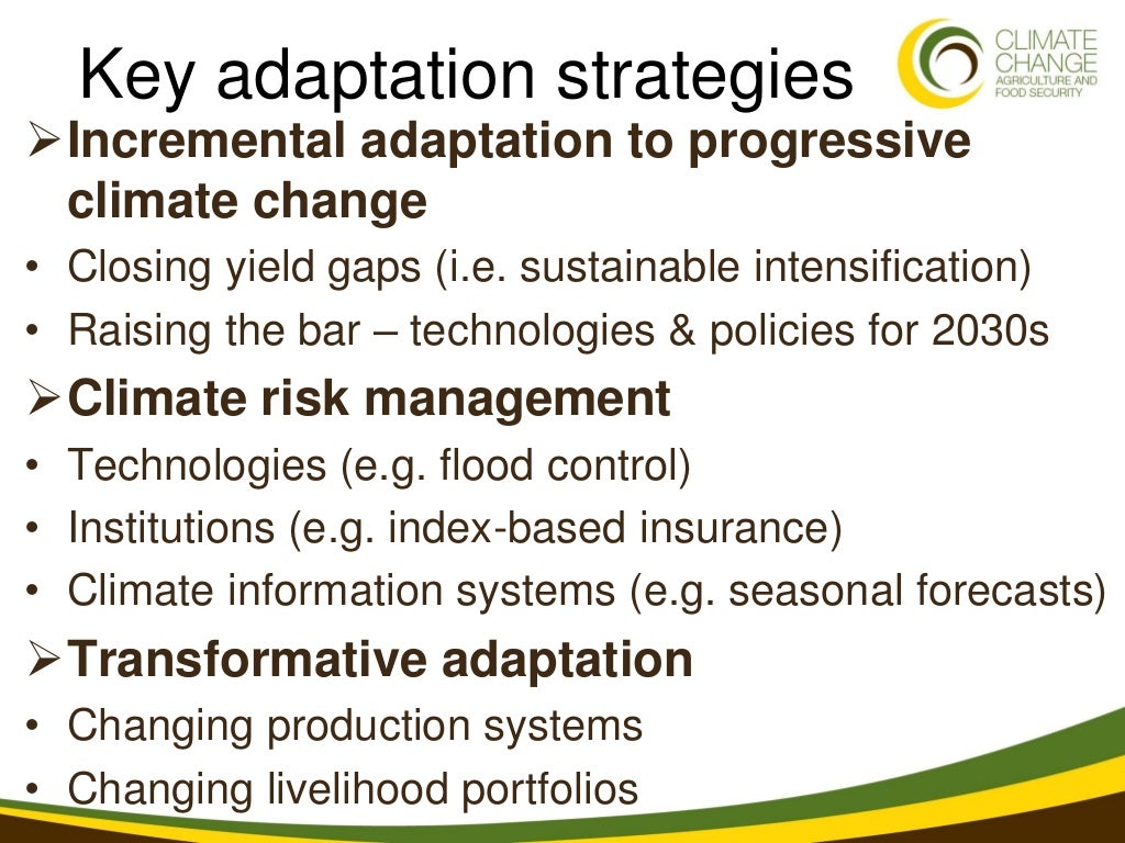 Key adaptation strategies Incremental adaptation to