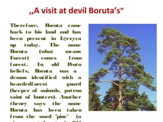 A visit at devil boruta's | PPT