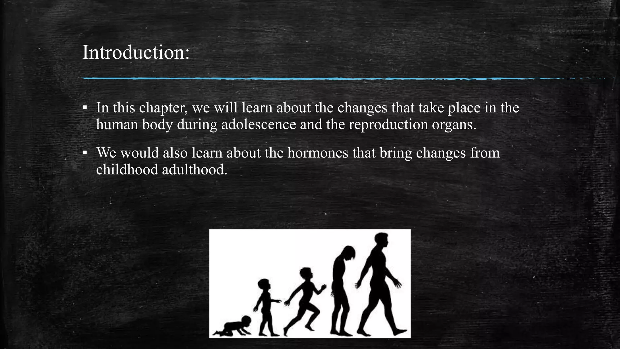 Reaching the age of Adolescence | PPTX