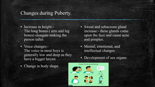 Reaching the age of Adolescence | PPTX