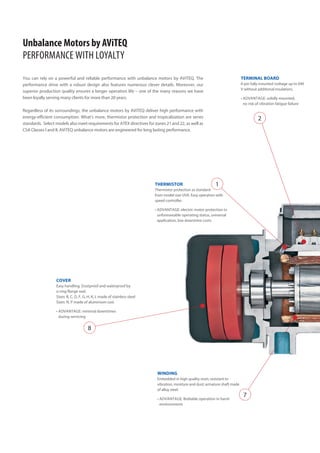 AViTEQ Unbalanced Motor Brochure | PDF