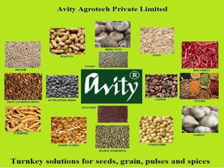 Avity Agrotech Private Limited | PPT