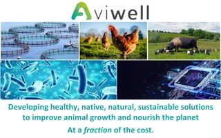 Aviwell Seed Pitch Deck | PPT