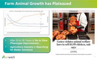 Aviwell Seed Pitch Deck | PPT