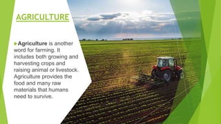 Agriculture in India | PPTX