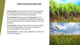 Agriculture in India | PPTX