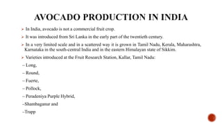 Avocado cultivation practices | PPTX