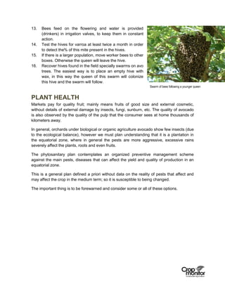 Avocado - a Short guide for Growing and Operational Procedures.pdf